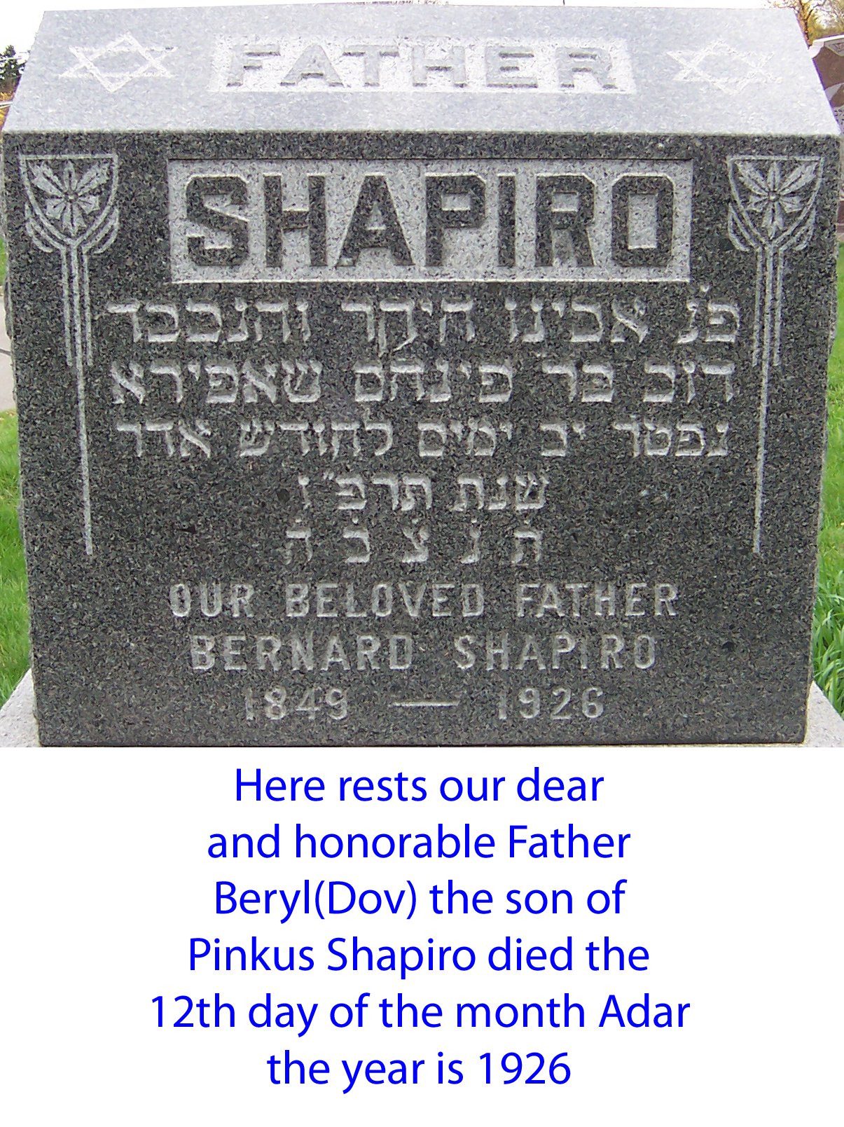 Shapiro-Bernard